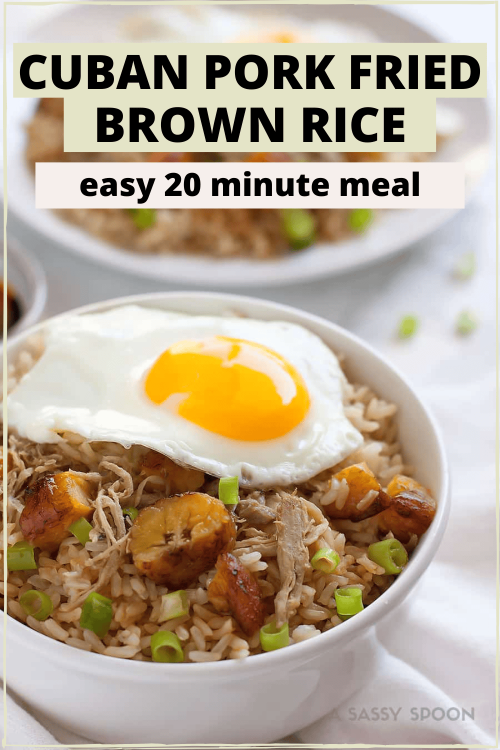 Easy Cuban Pork Fried Brown Rice - A Sassy Spoon