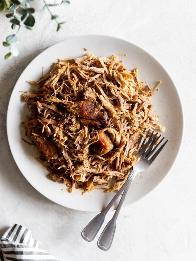 12 Best Pork Recipes - A Sassy Spoon